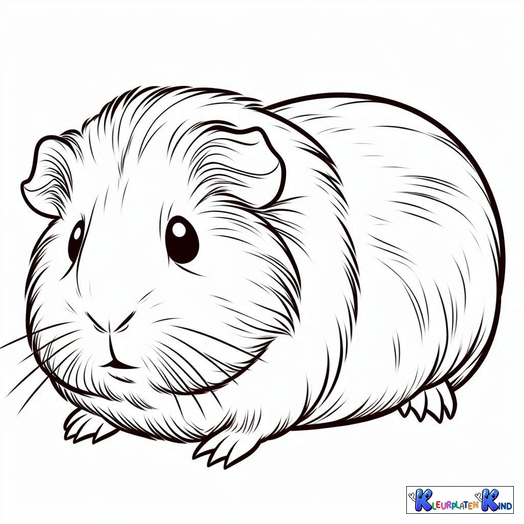 20 leuke cavia kleurplaten om gratis te printen