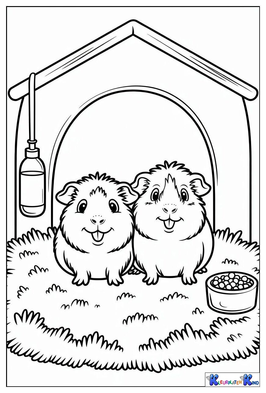 20 leuke cavia kleurplaten om gratis te printen