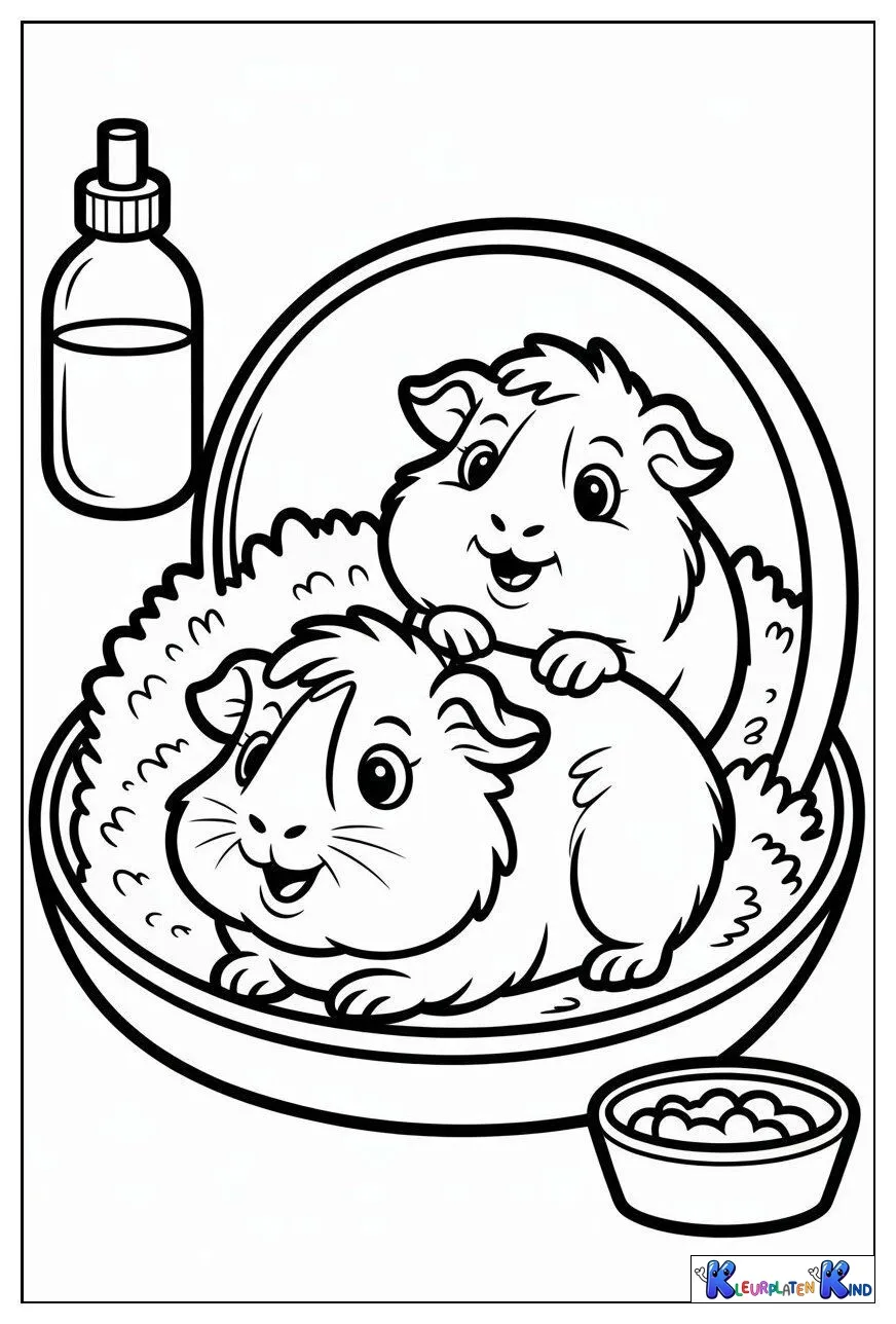 20 leuke cavia kleurplaten om gratis te printen